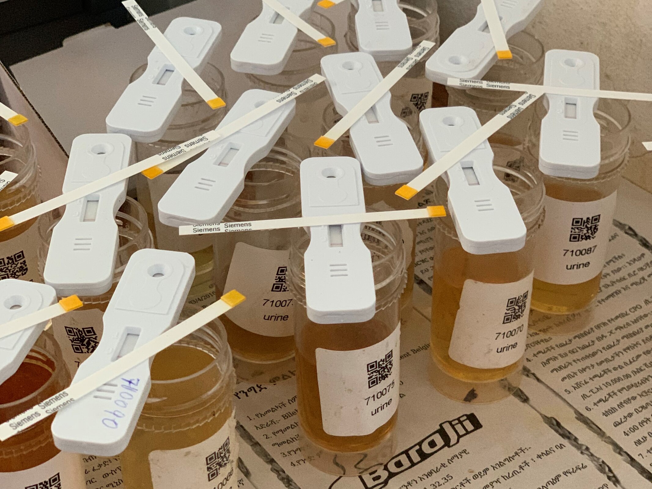 Geshiyaro Project | LCNTDR